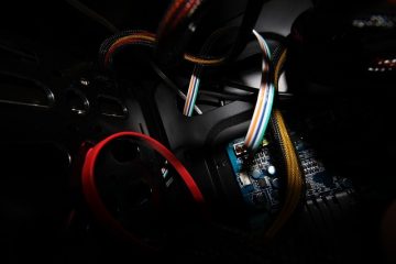 Accueil - Programmes Trinity